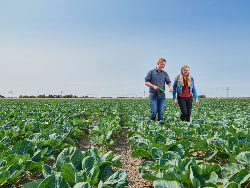 International Horticulture & Management (5 months)